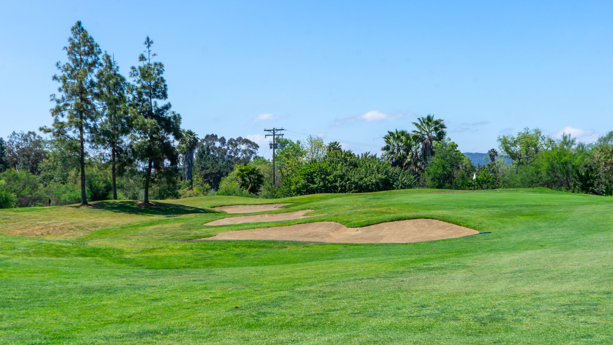 The Vineyard at Escondido | American Golf Corporation